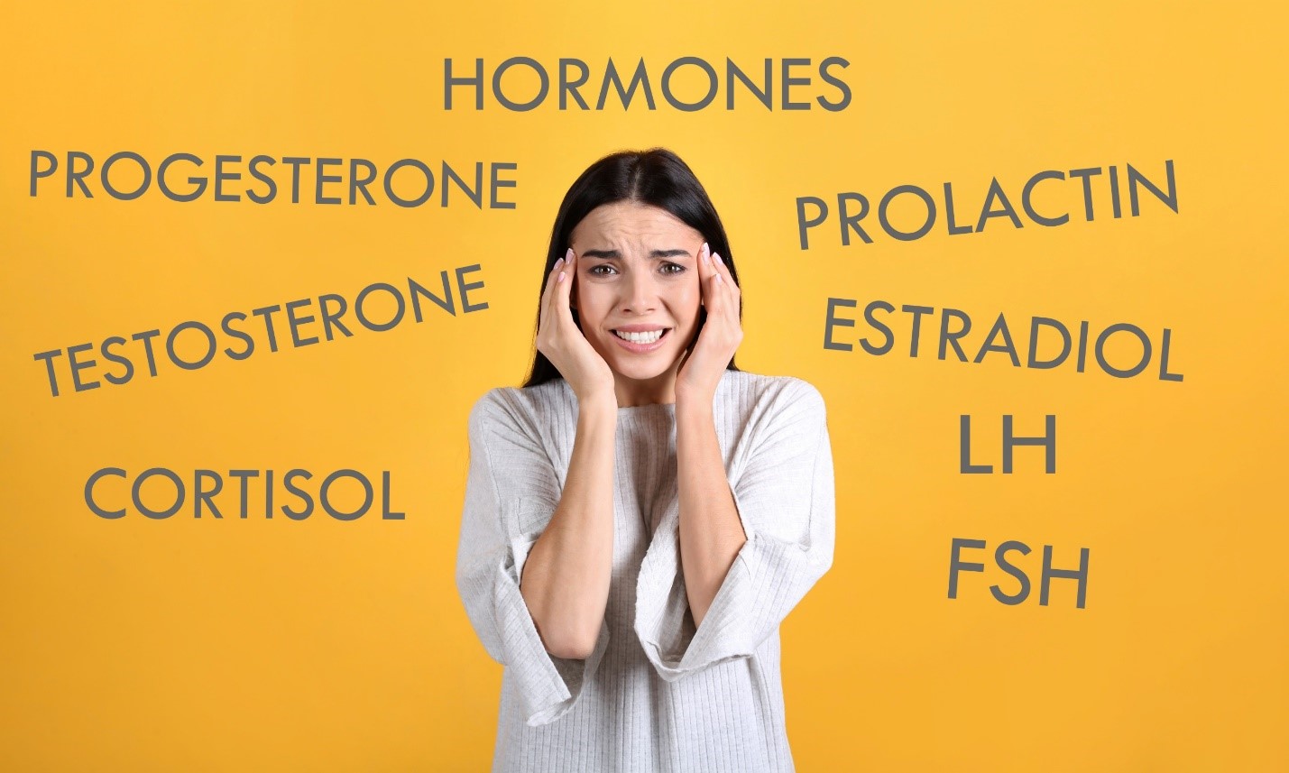 What’s My Hormone Type? | Hol